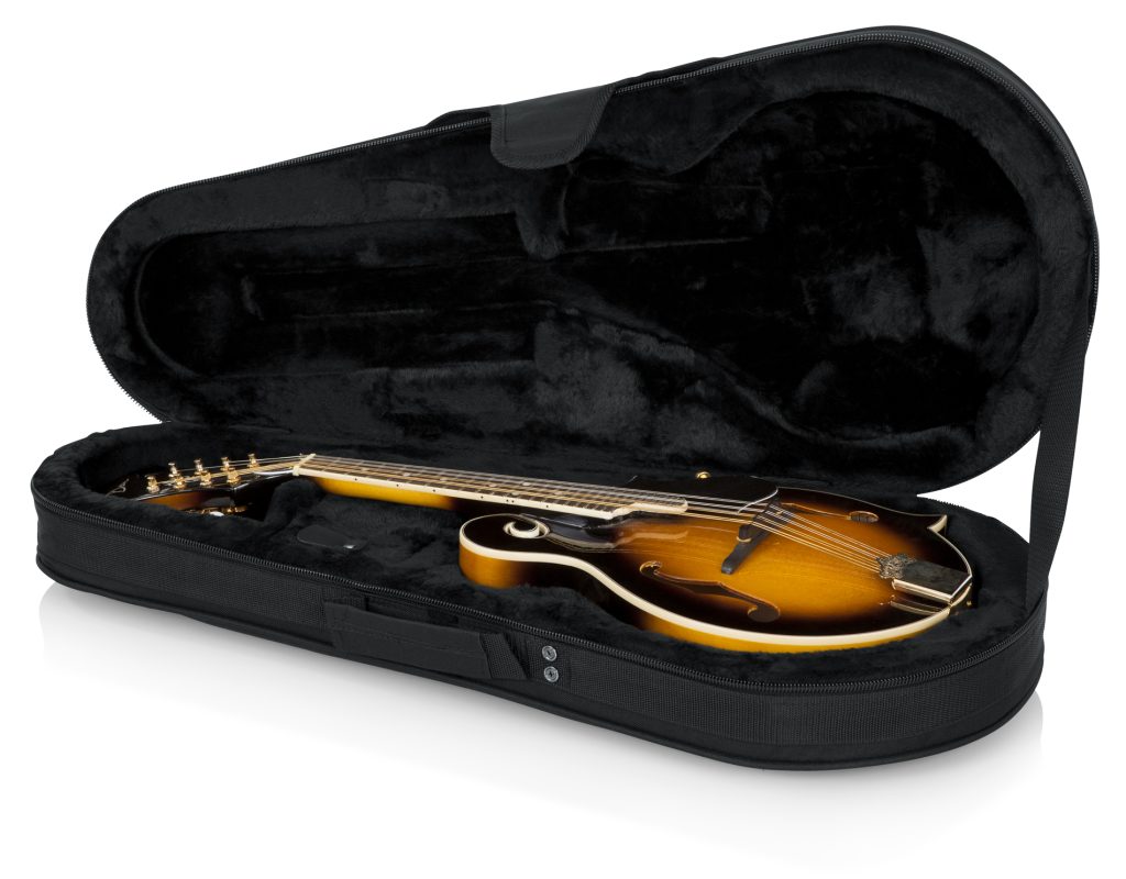 Mandolin - Gator Cases
