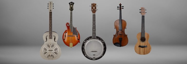 Folk Instrument - Gator Cases